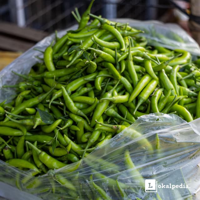 Guide to philippine chilies